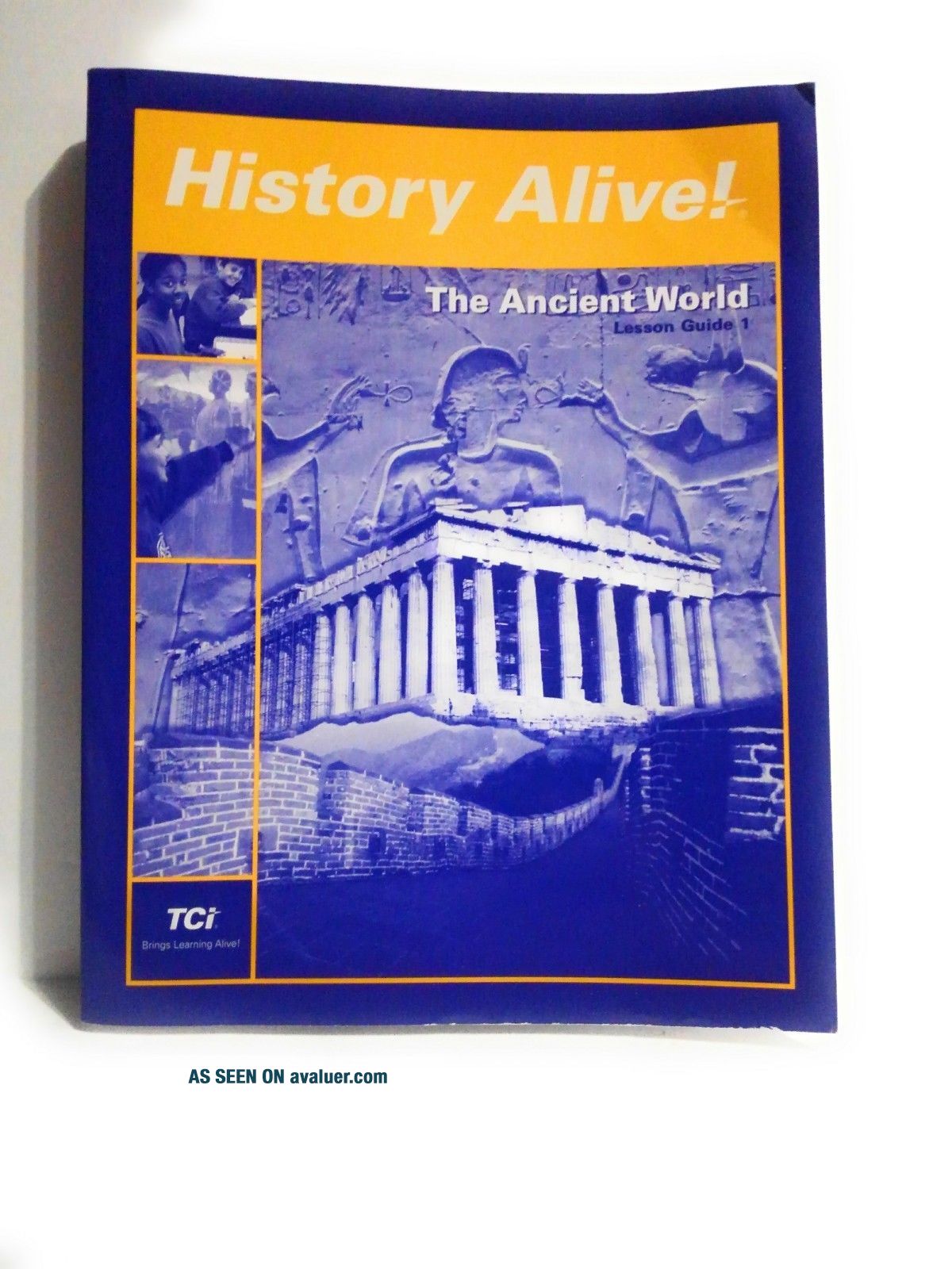 HISTORY ALIVE THE ANCIENT WORLD LESSON GUIDE 1 By Tci | #6807603