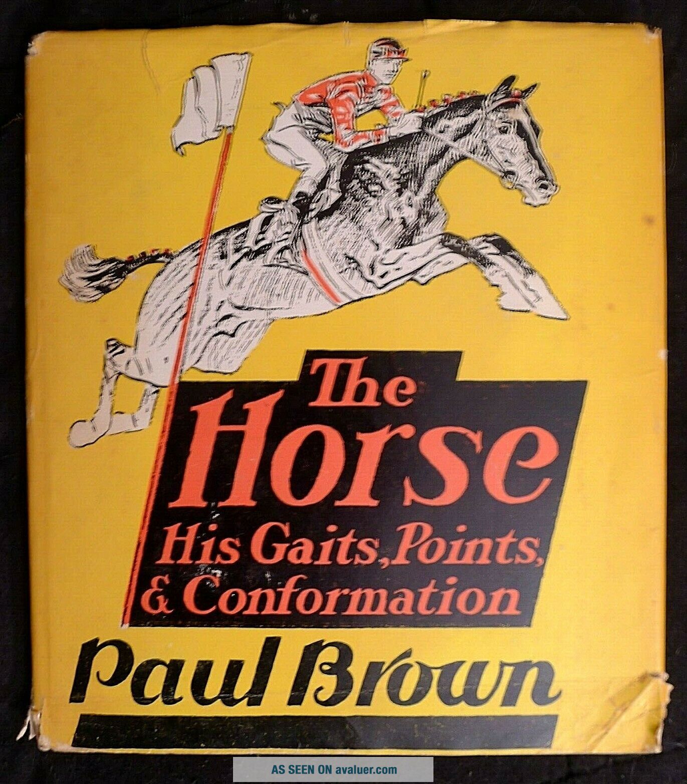 Paul Brown Horse His Gaits Point And Conformation 1st Edition Dust ...