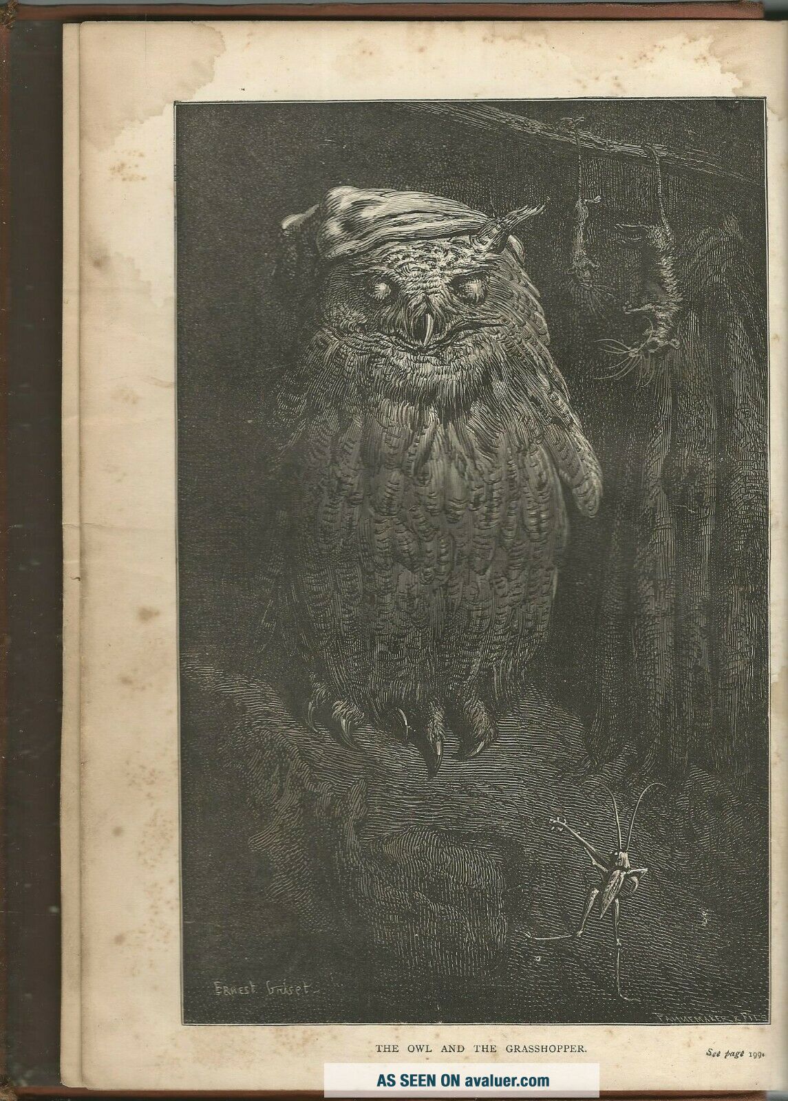 Aesops Fables Illustrated By Ernest Griset Antiquarian Folk Tales HB ...