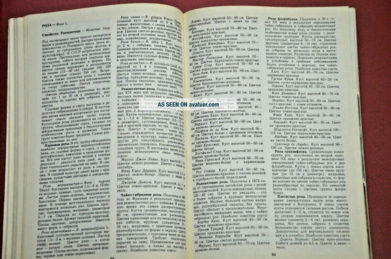 1984 Book Soviet Russia USSR Guide Light Guide In In The Book, 20 ...