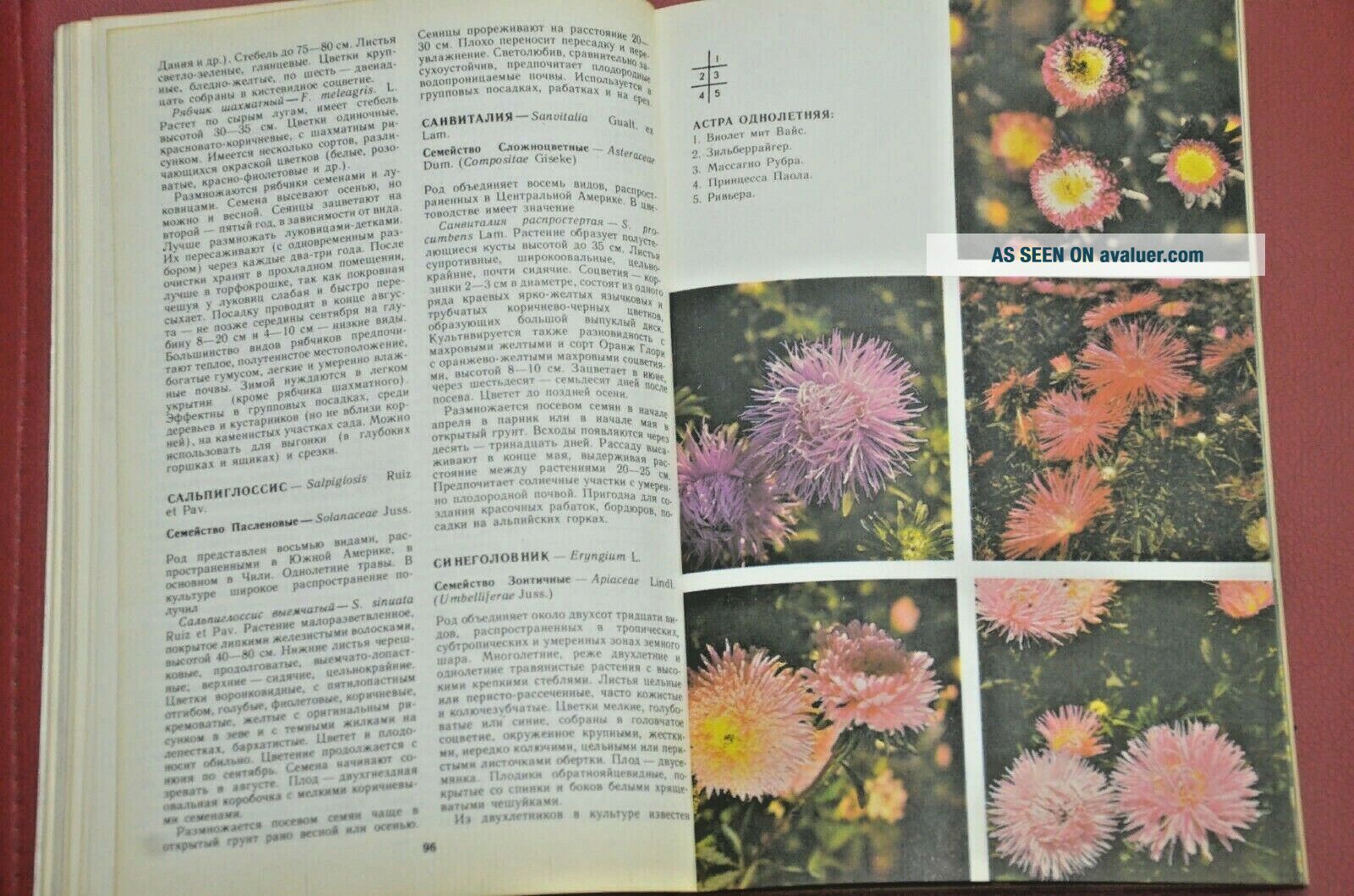 1984 Book Soviet Russia USSR Guide Light Guide In In The Book, 20 ...