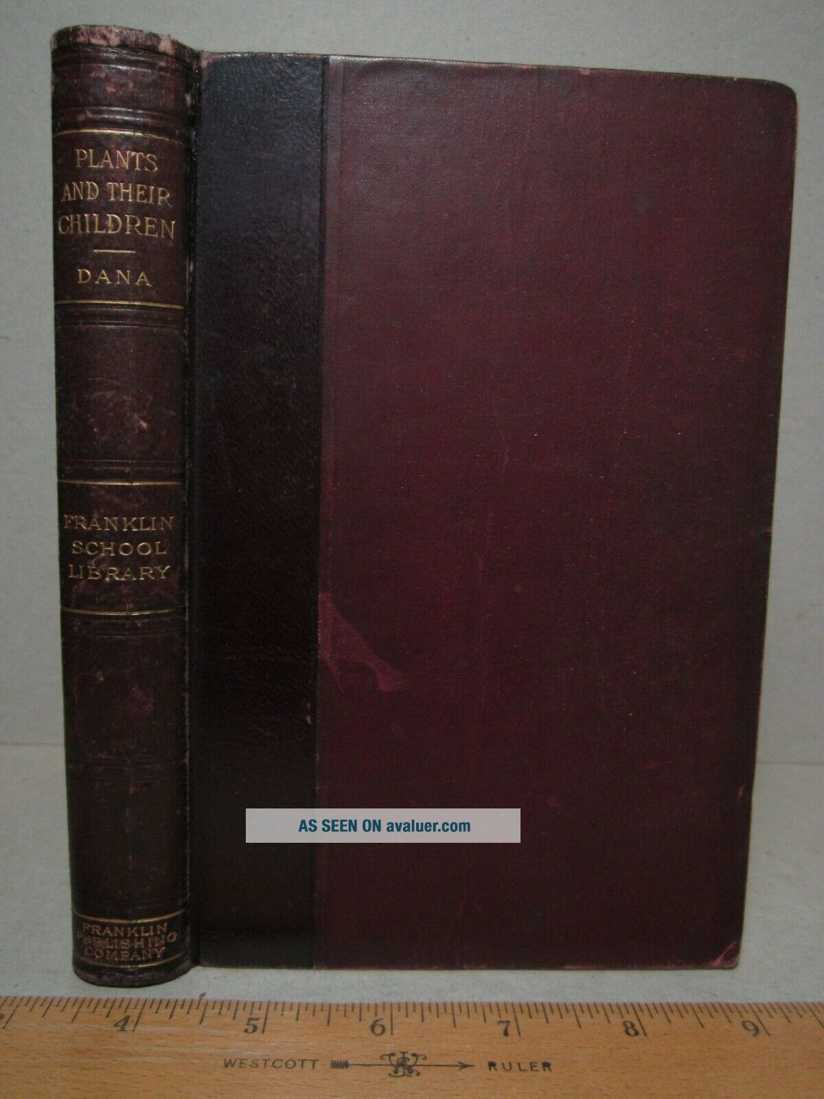 Plants And Their Children 1896 Lux Binding Franklin School By Dana ...