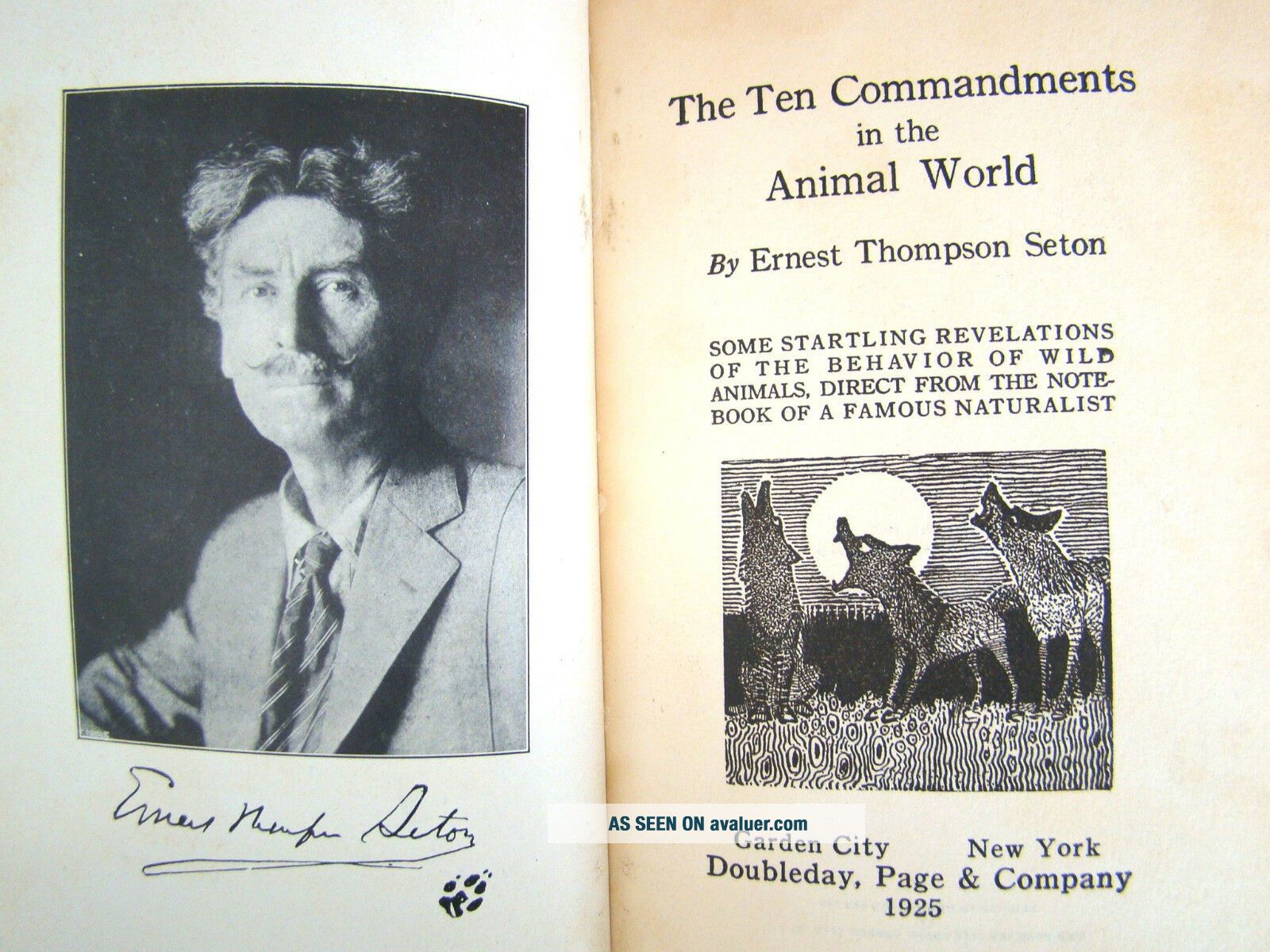 1925 Edition The Ten Commandments Of The Animal World By Ernest ...