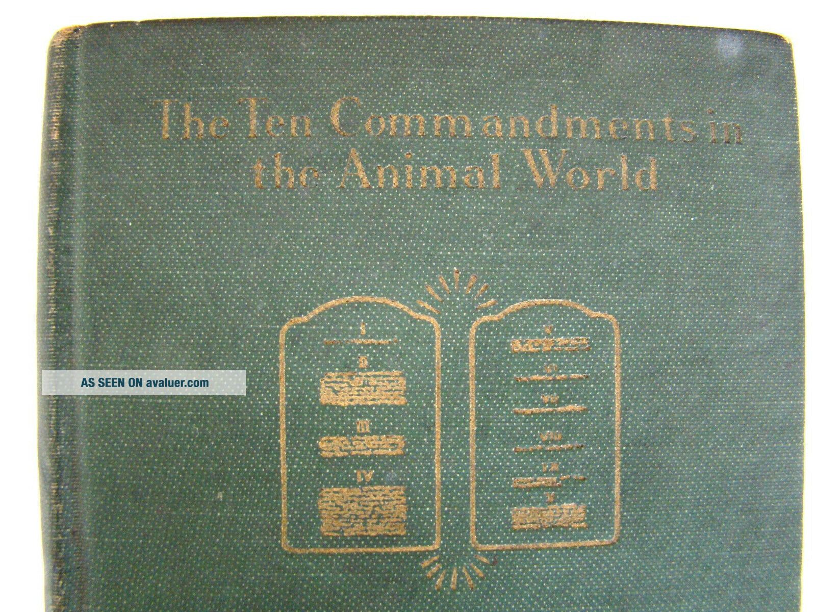 1925 Edition The Ten Commandments Of The Animal World By Ernest ...