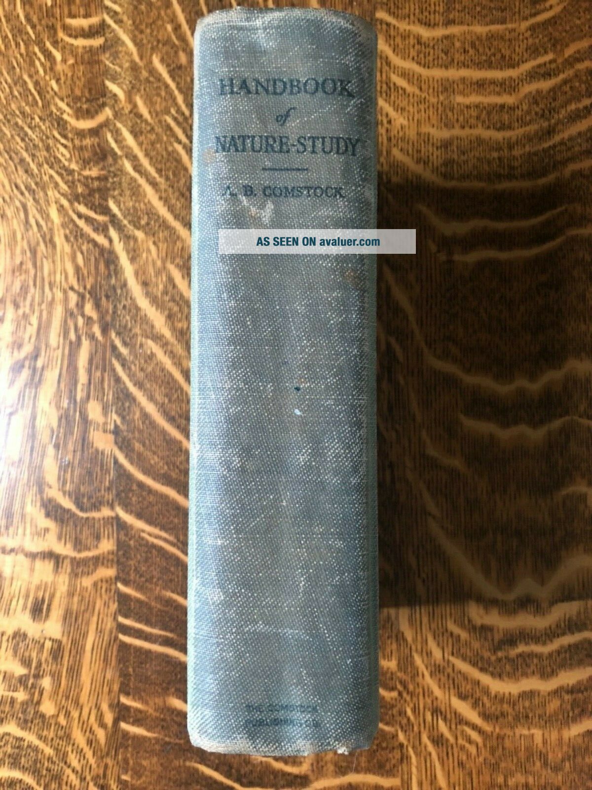 Handbook Of Nature Study By Anna Botsford Comstock 17th Edition 1926 ...