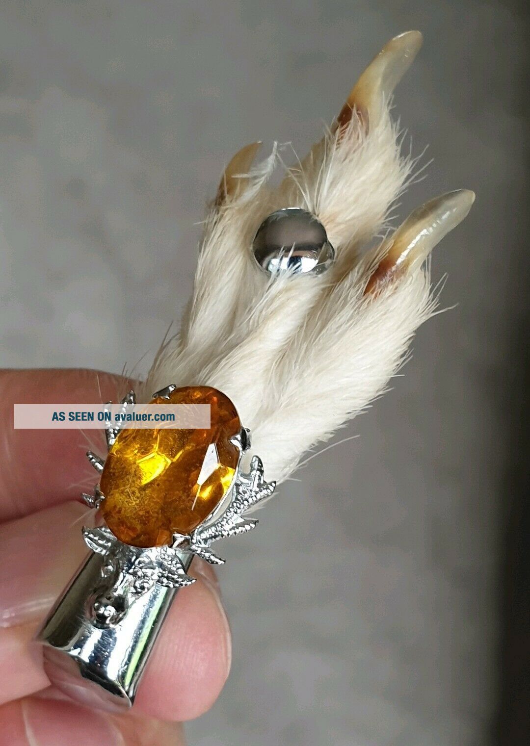 OLD VINTAGE SIGNED WBs SCOTTISH CELTIC AMBER GROUSE FOOT SILVER STAG ...
