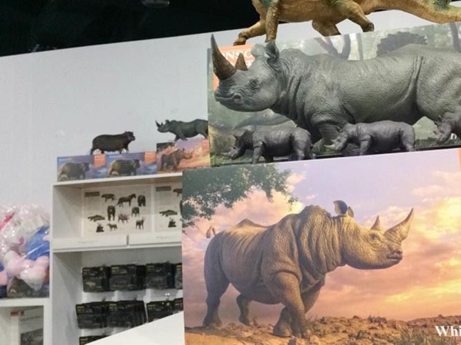 PNSO White Rhino Rhinoceros Wildlife Scientific Art Realistic Large ...