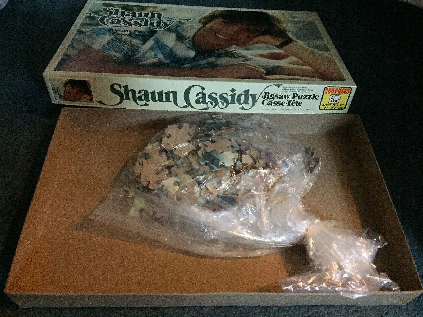 Shaun Cassidy As Joe Hardy Of The Hardy Boys 200 Piece Jigsaw Puzzle ...