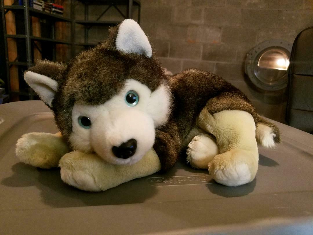 NWOT 2003 Ty Classic Beanie Baby MUSHER Husky Plush Stuffed Dog Fast ...